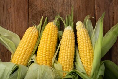 5 Tips How to Grow a Ton of Sweetcorn in One Raised Bed