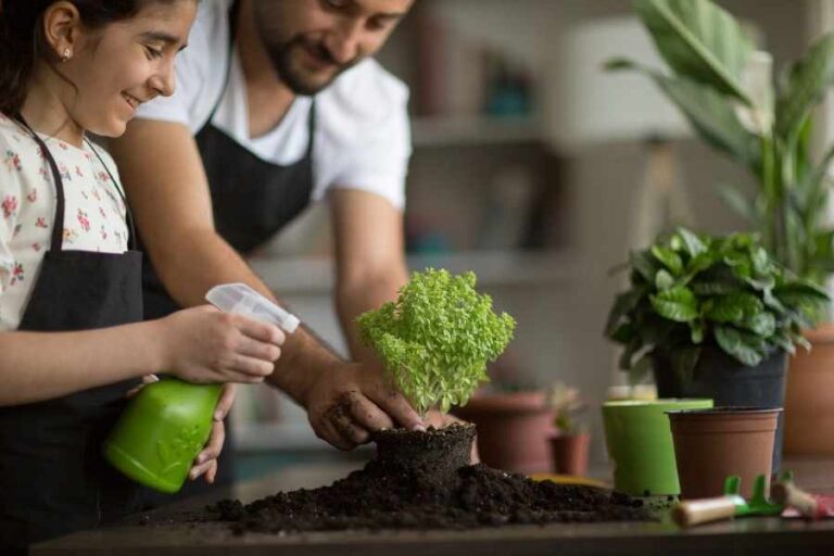 4 Quick and Easy Tips to Keep Your Plants Healthy