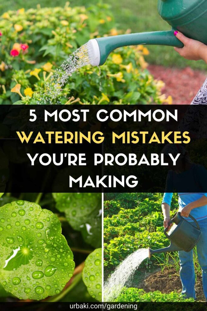 5 Most Common Watering Mistakes You're Probably Making