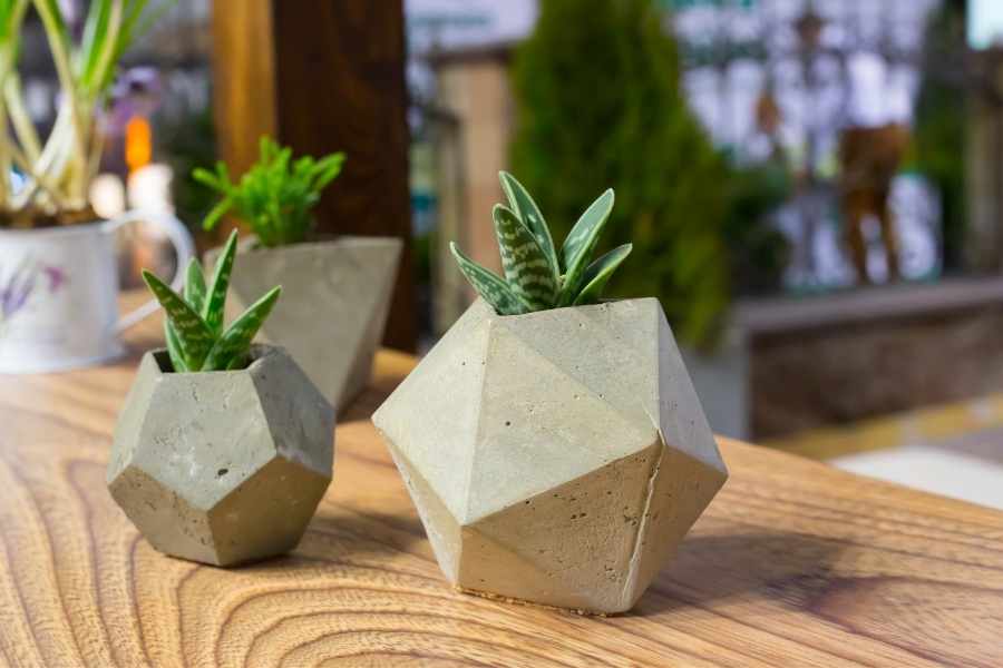 DIY Easy Geometric Pots With Cement and Cardboard