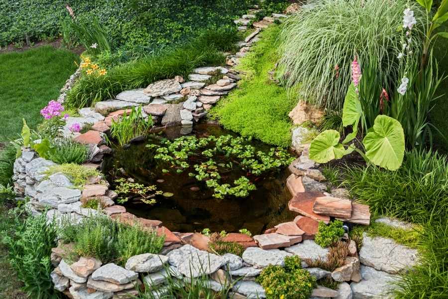 DIY The Perfect Backyard Ecosystem Pond