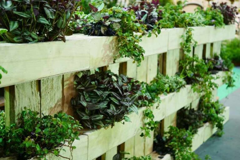 How to Make a Vertical Garden: Full DIY Guide with Design Tips