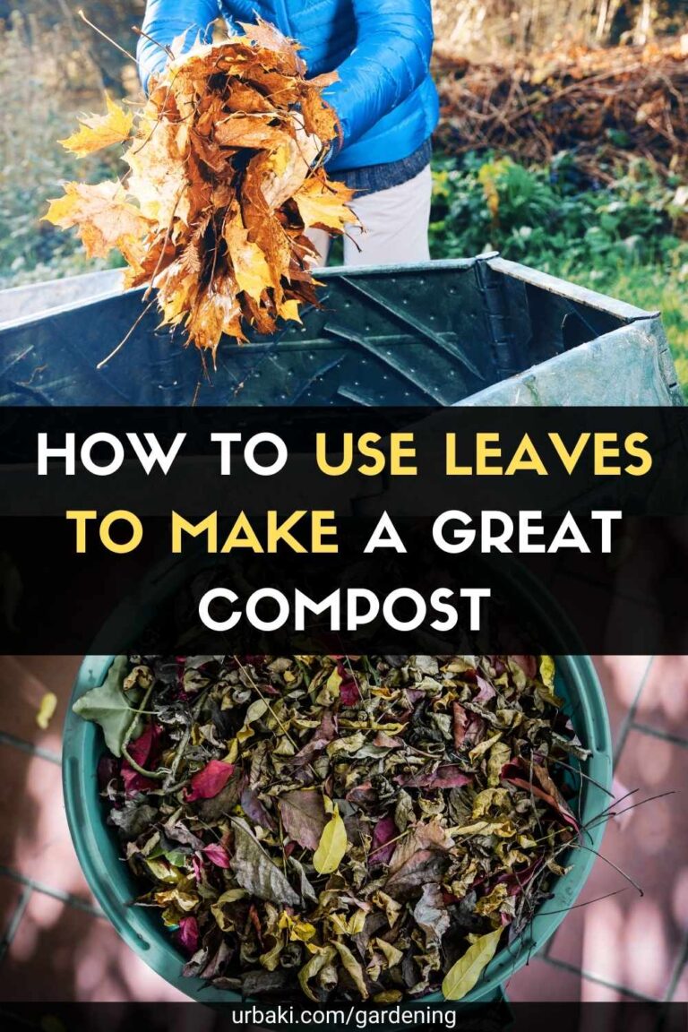 How to Use Leaves to Make a Great Compost