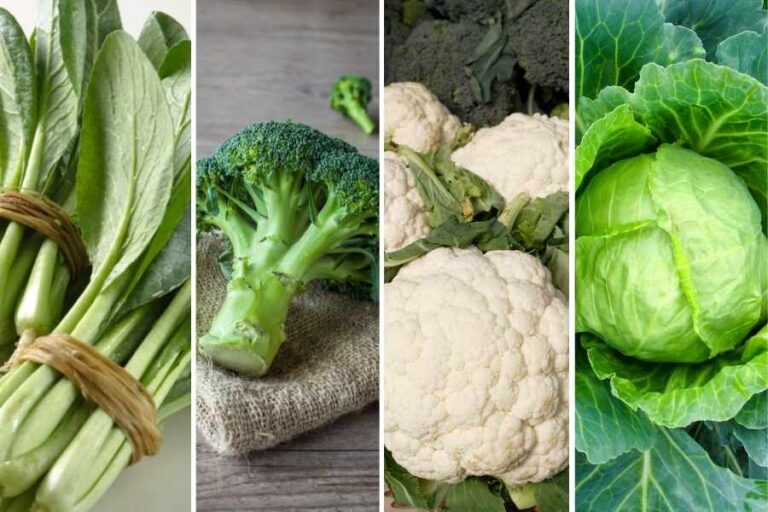 7 Tips to Grow Better Brassicas