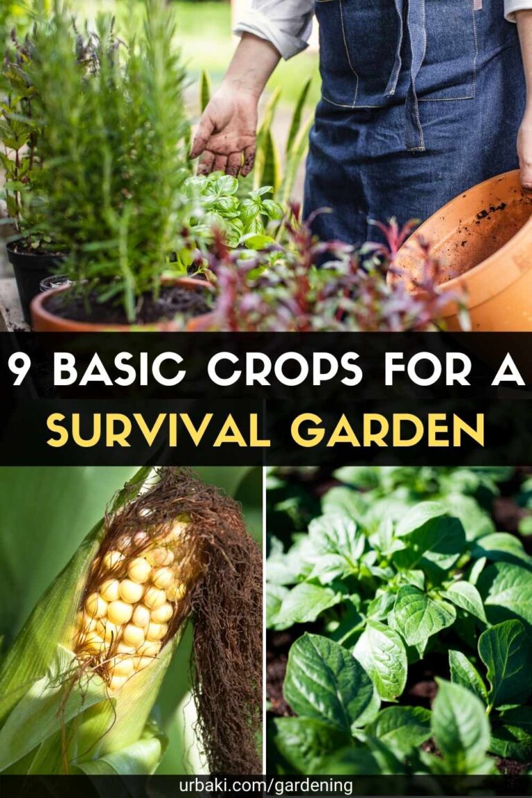 9 Basic Crops for a Survival Garden