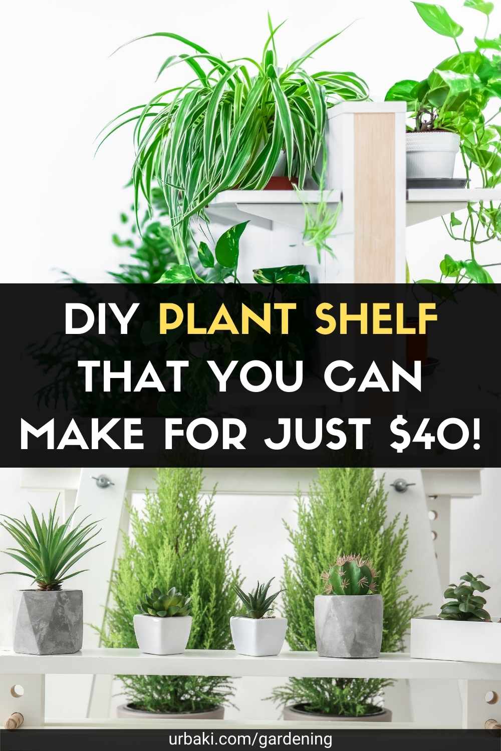 DIY Plant Shelf that You Can Make for Just $40!