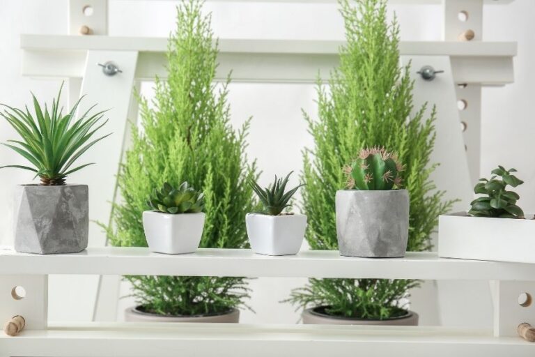 DIY Plant Shelf that You Can Make for Just $40!