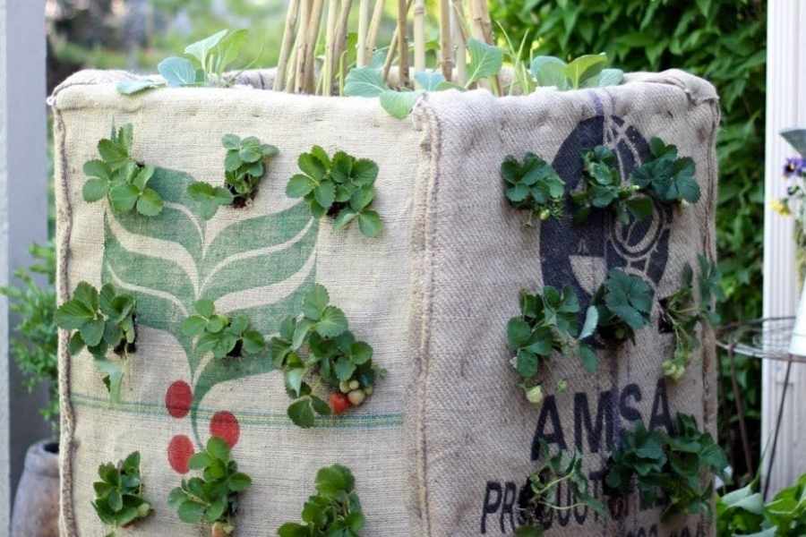 Easy DIY Grow Box Vertical Garden