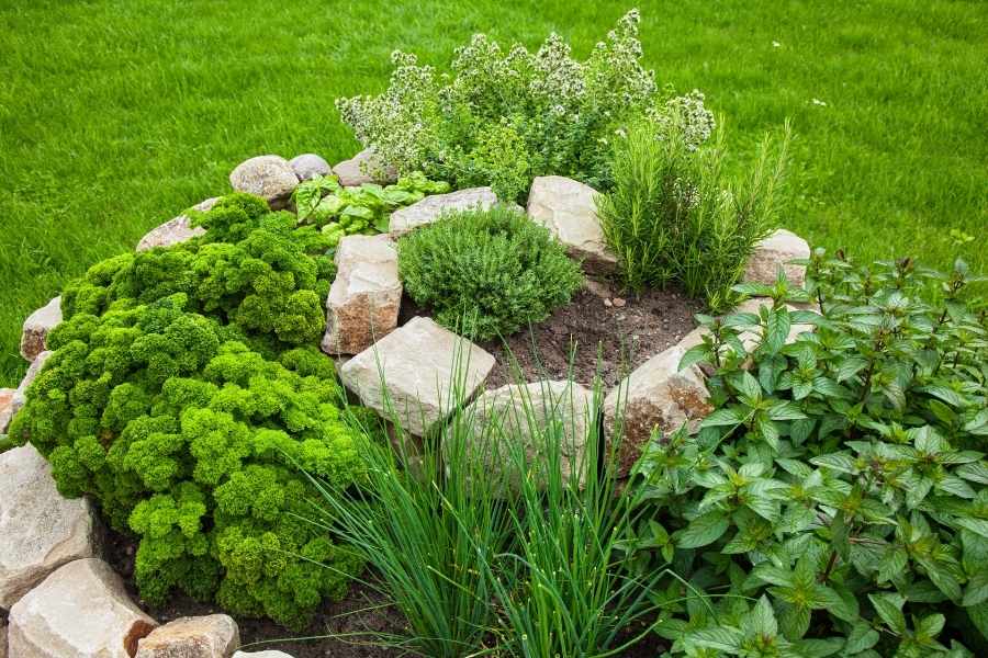Make Your Own DIY Herb Spiral Garden