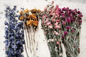 The Complete Guide to Drying Flowers