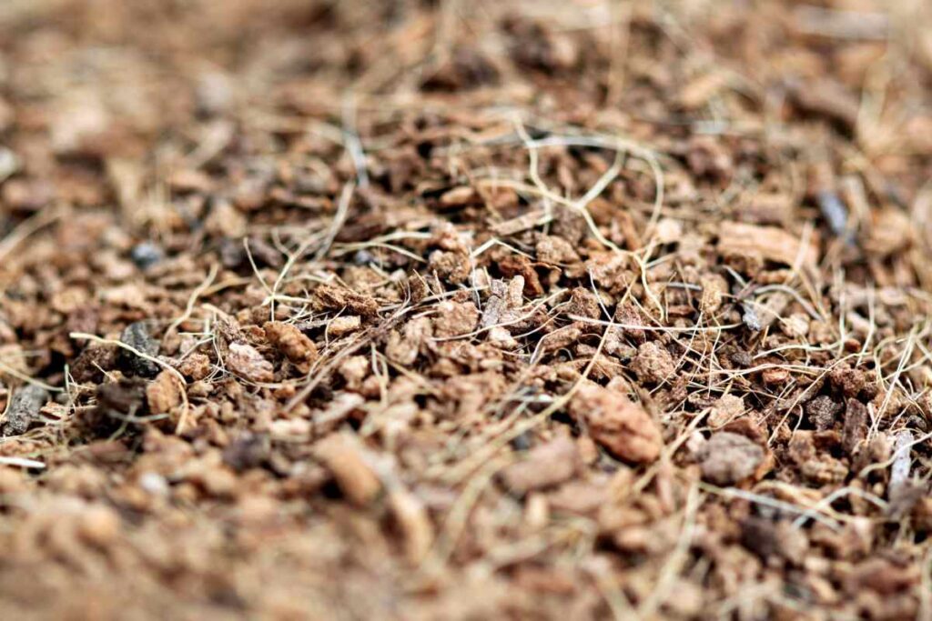 4 Clever Ways to Use Wine Corks in Your Garden