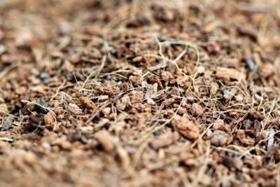 4 Clever Ways to Use Wine Corks in Your Garden