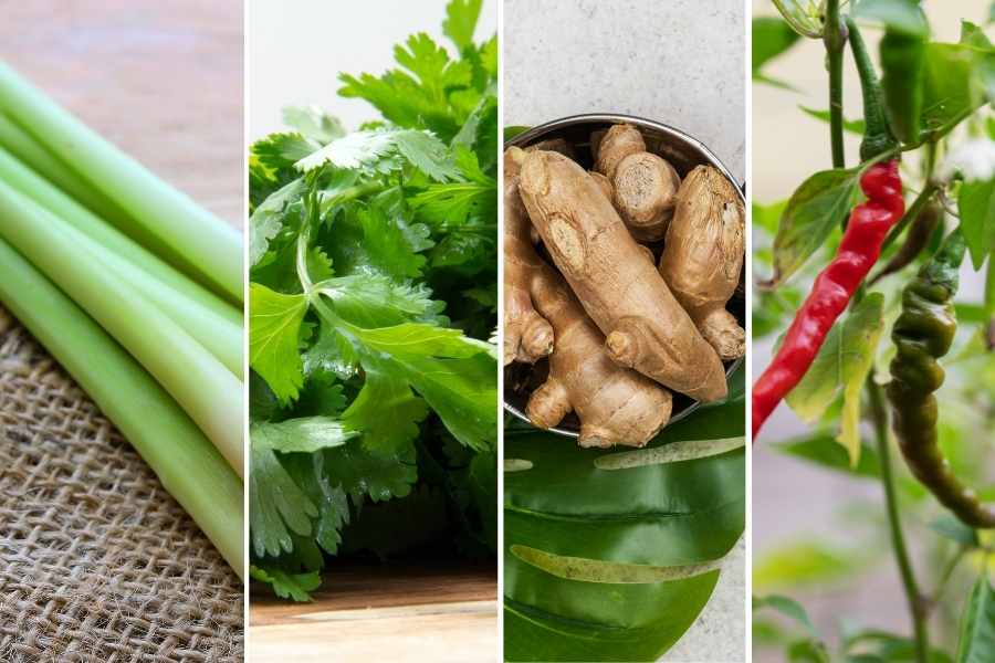 7 Easy to Grow Asian Herbs & Spices