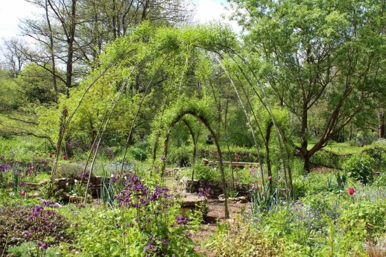 DIY Willow Structures for Your Garden