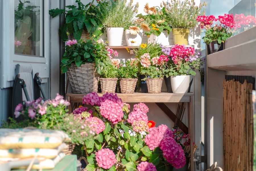 The Best Planting Tips for Early Summer