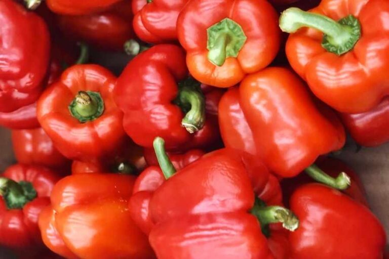 The Secret to a Bountiful Pepper Harvest