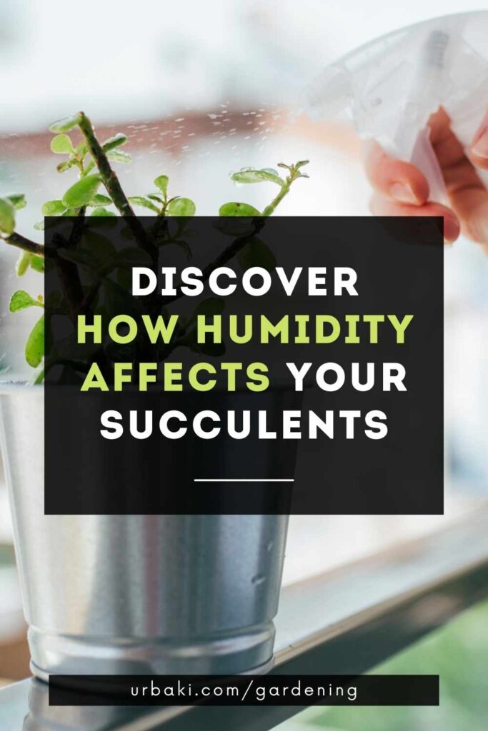 Discover How Humidity Affects Your Succulents