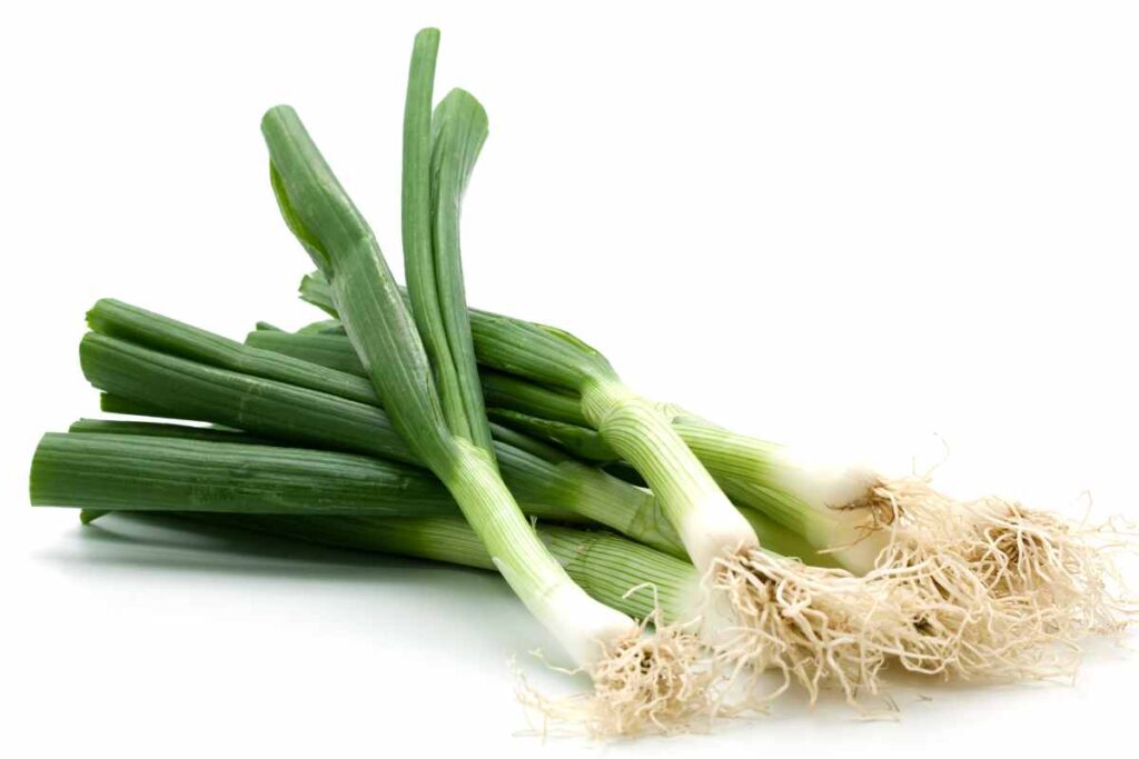 Turn ONE Leek Into TWO Leeks with This Hack