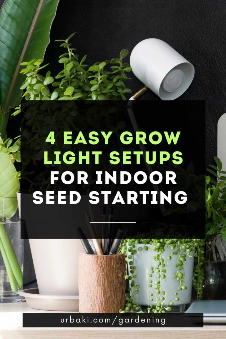 4 Easy Grow Light Setups for Indoor Seed Starting