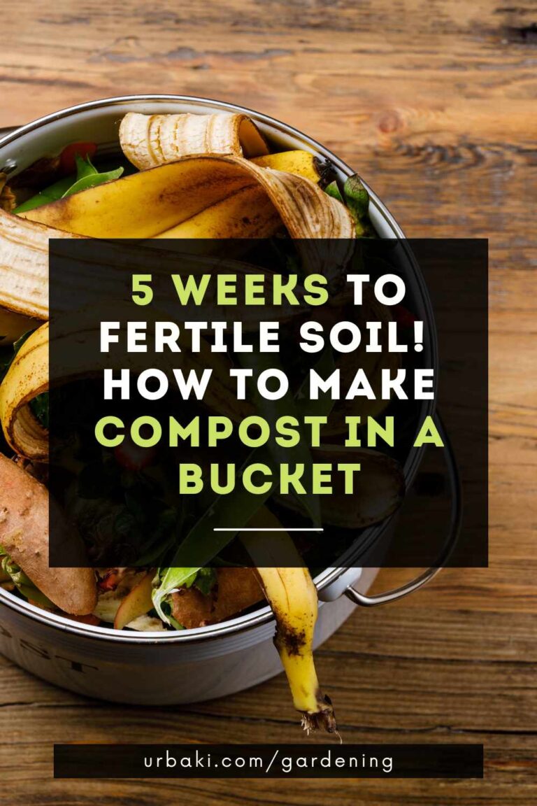 5 Weeks to Fertile Soil! How to Make Compost in a Bucket