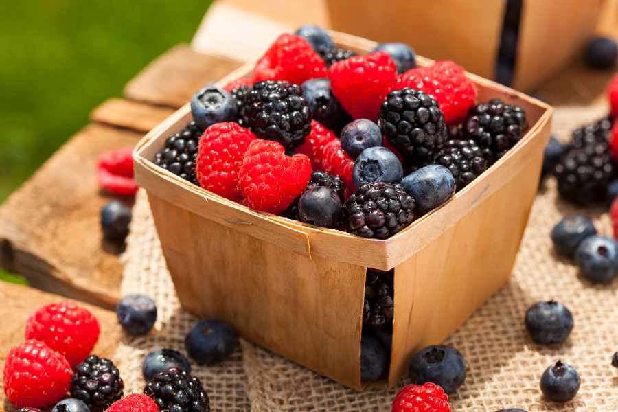 Berrylicious! 9 Types of Berries You Must Grow