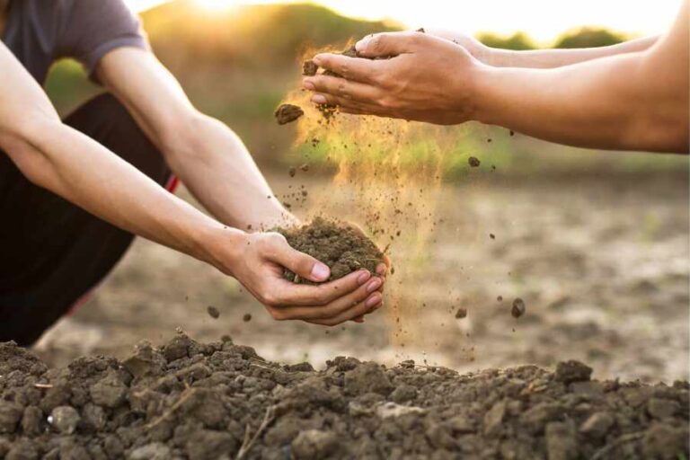 Breaking Ground - Solutions for Dealing with Soil Compaction