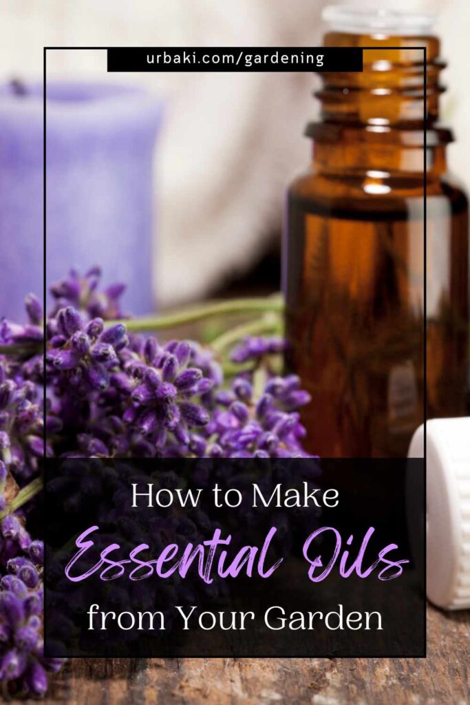 From Garden to Bottle - How to Make Your Own Essential Oils