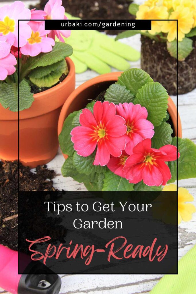 Get Your Garden Spring-Ready with These Essential Tips