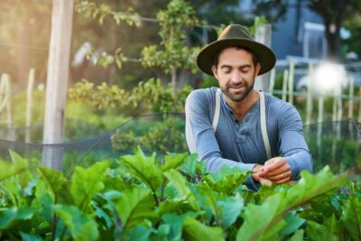 7 Things Plant Experts Do That You Need to Know