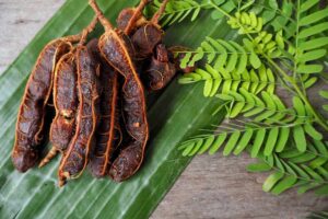 How to Grow Your Own Tamarind Tree Step-by-Step