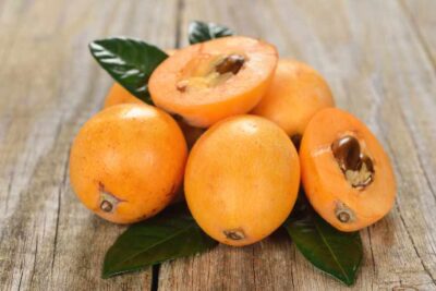 How to Plant and Care for Your Loquat Tree