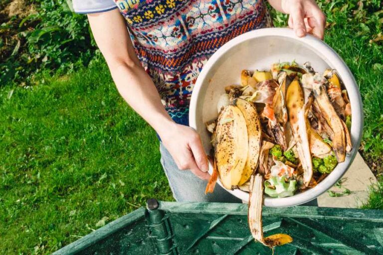 5 Composting Myths You Should Stop Believing