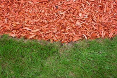 Gorgeous Mulch Options for Garden & Landscapes!