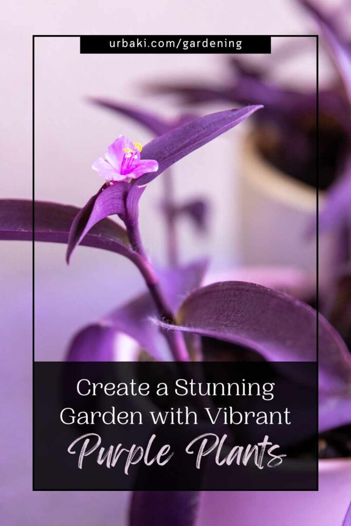 Create a Stunning Garden with Vibrant Purple Plants