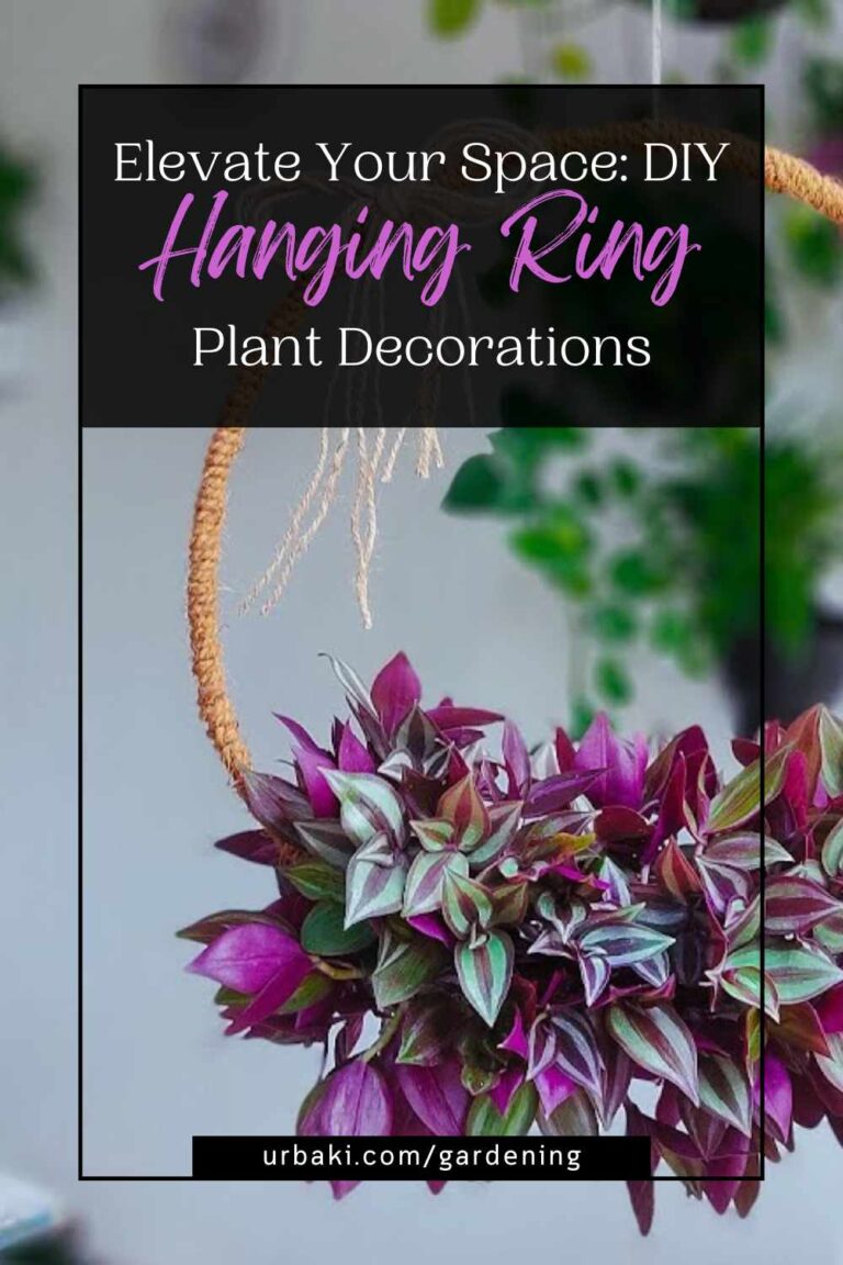 Elevate Your Space - DIY Hanging Ring Plant Decorations