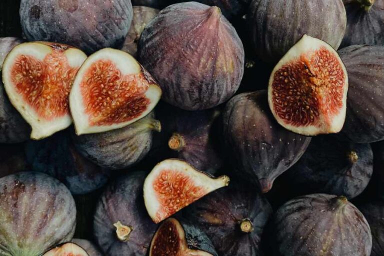 5 Quick-Fruiting Fig Trees for Your Garden