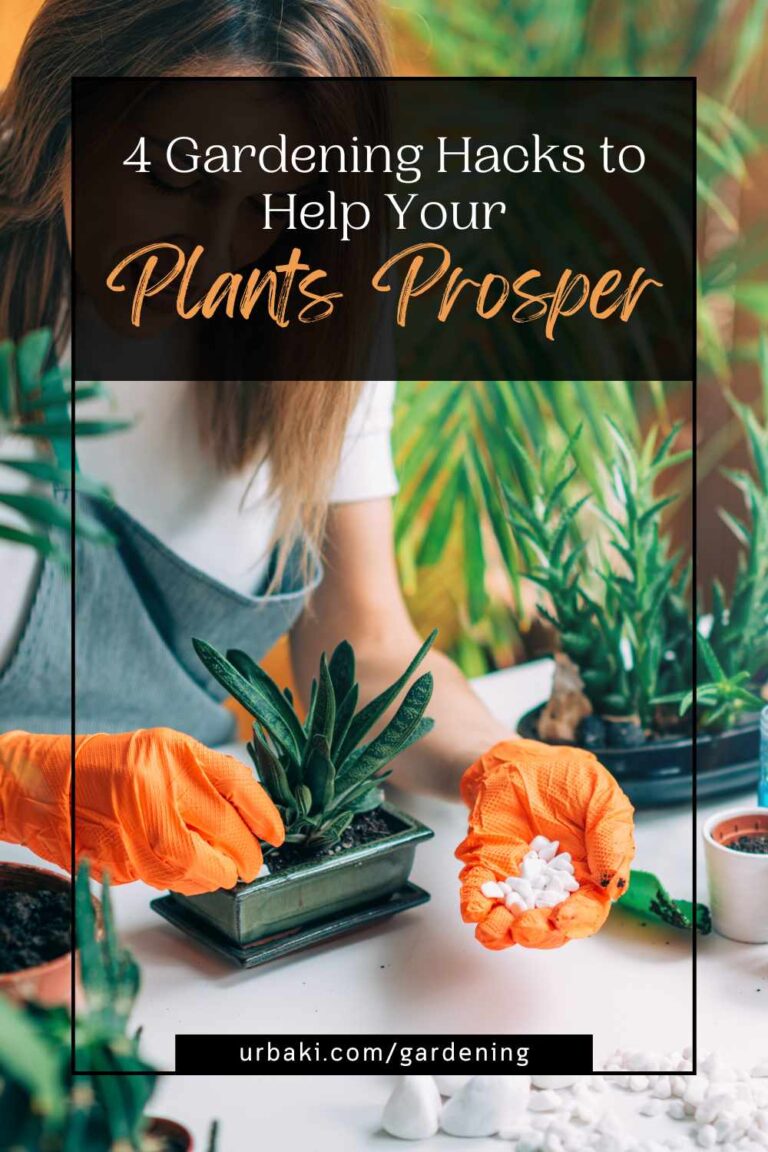 4 Gardening Hacks to Help Your Plants Prosper