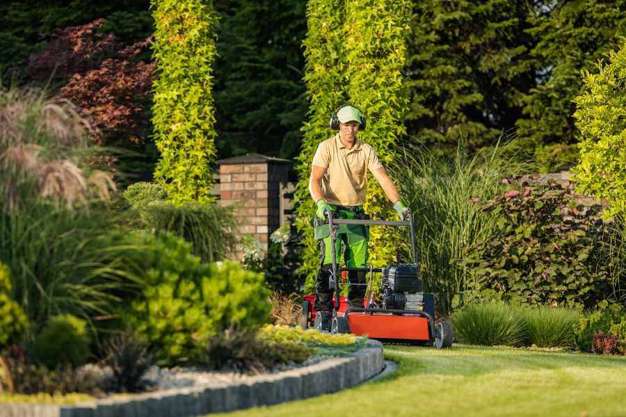 How to Grow Grass from Seed & Fix Bare Spots