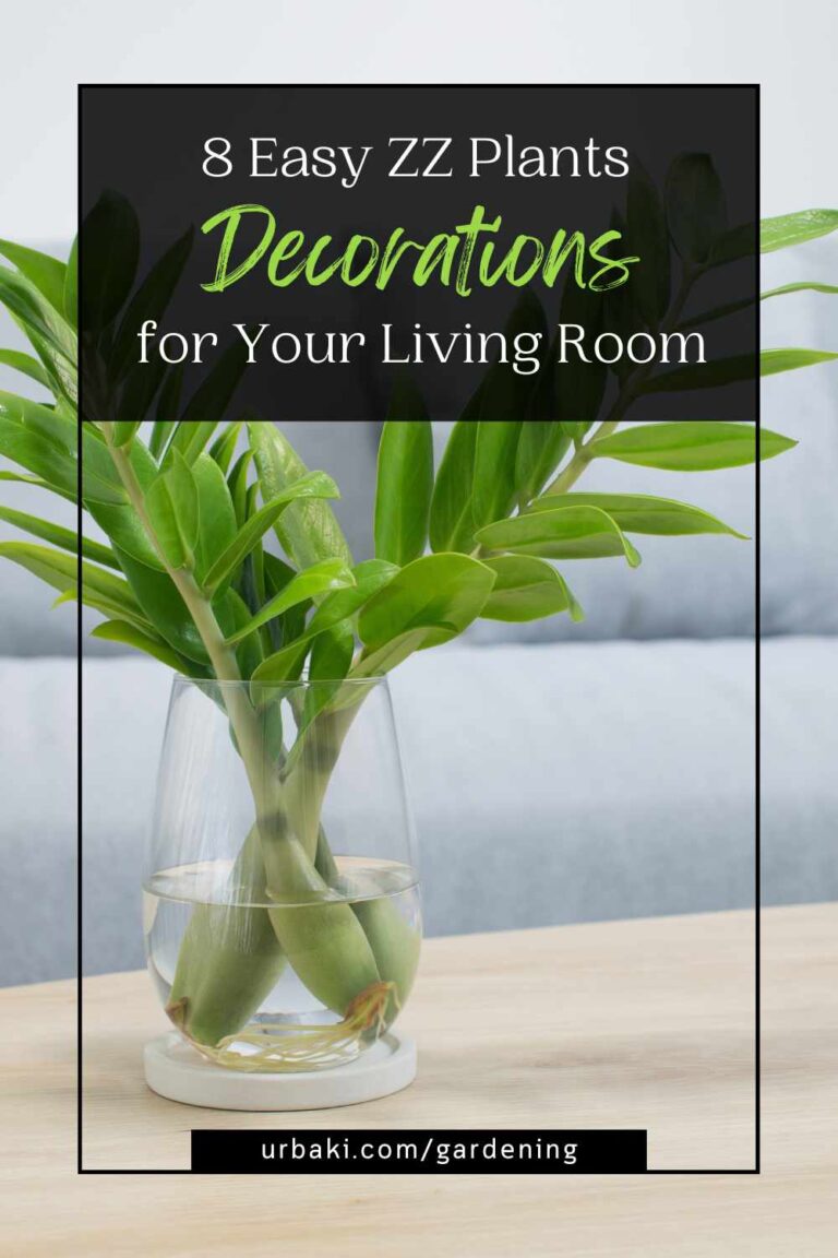 8 Easy ZZ Plants Decorations for Your Living Room