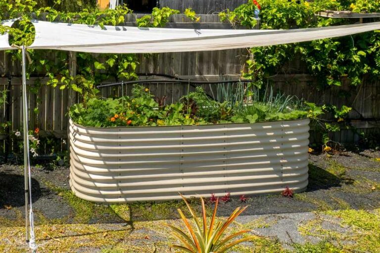 Beat the Heat - DIY Shade Canopy for Your Garden