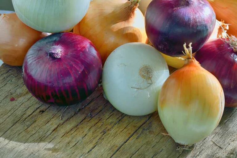 6 Proven Strategies for Maximizing Onion Size & Flavor