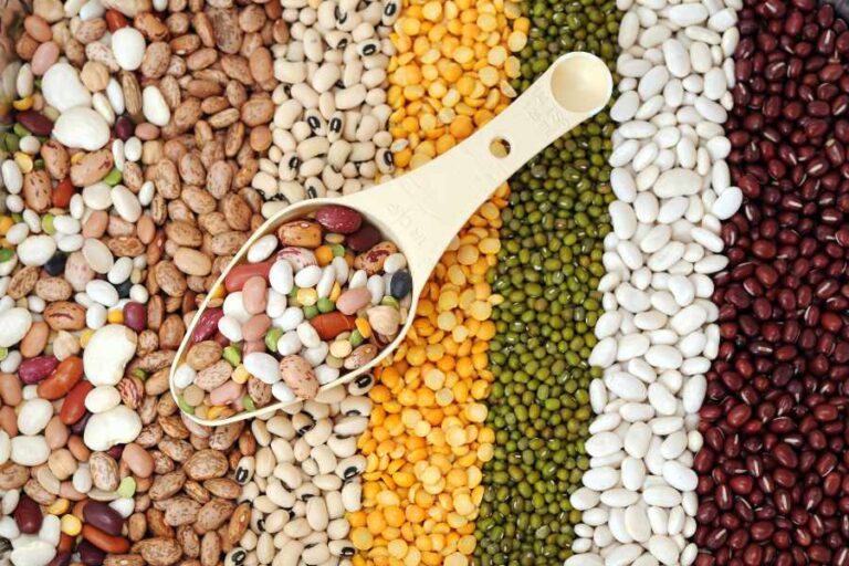 Easy Bean Growing - 6 Essential Tips