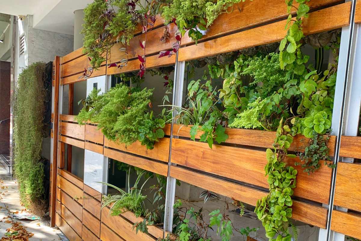 Building a Vertical Garden in No Time