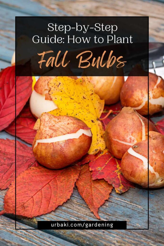 Step-by-Step Guide: How to Plant Fall Bulbs