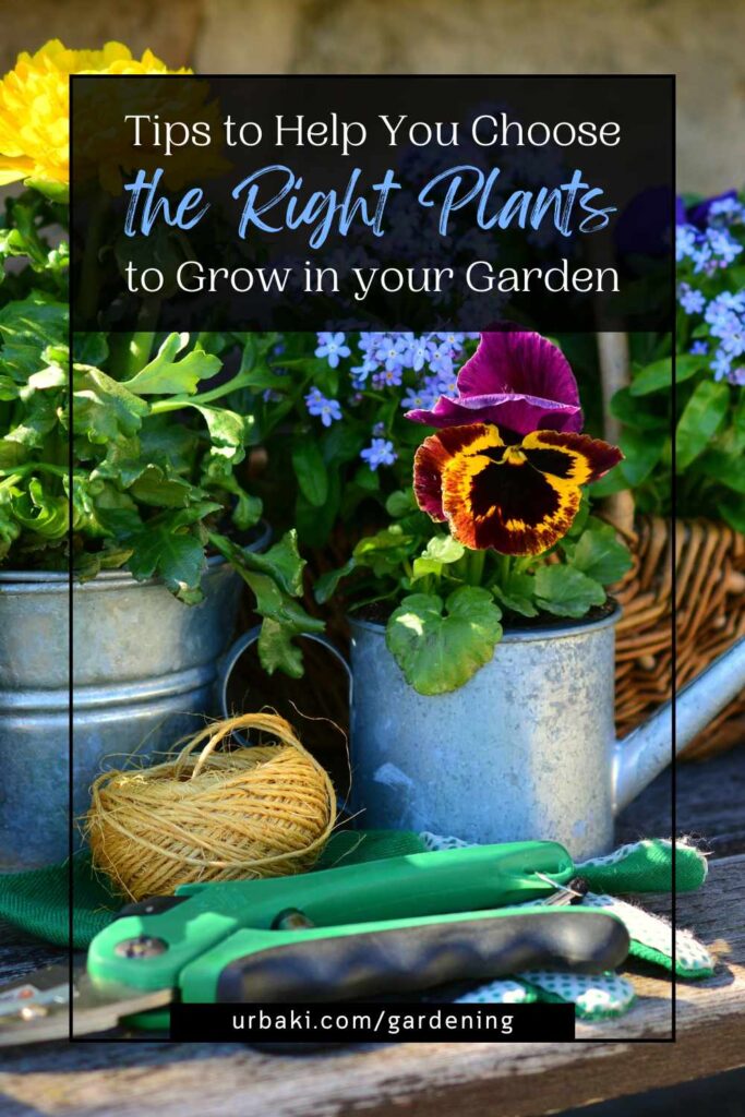 Tips to Help You Choose the Right Plants to Grow in your Garden