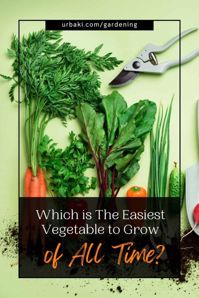 Which is The Easiest Vegetable to Grow of All Time?