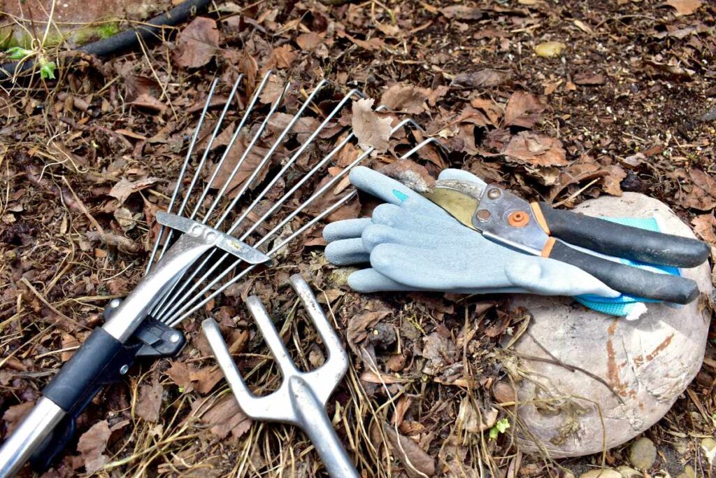 How to Clean Gardening Tools for a Healthy Garden
