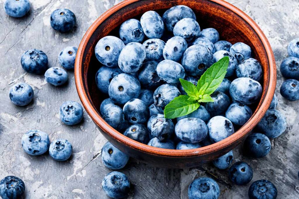 Growing Perfect Blueberries in Containers: Step-by-Step