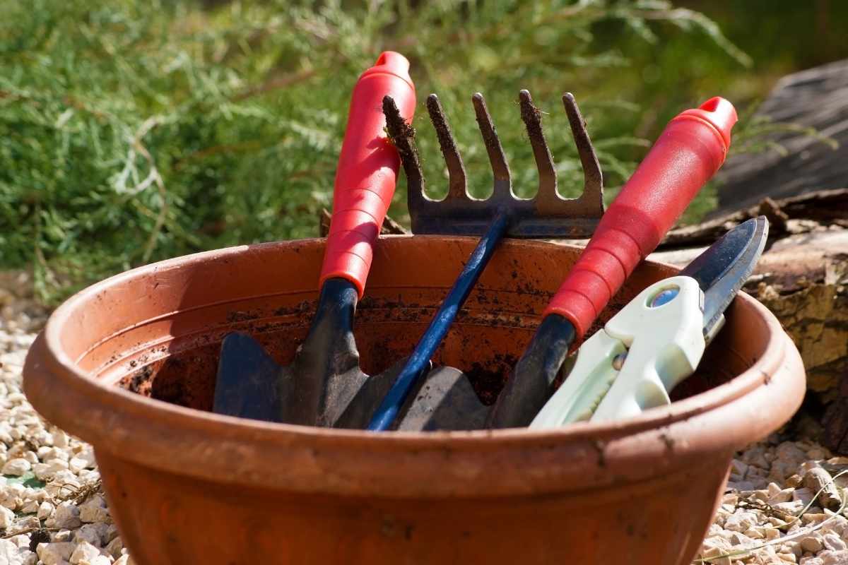 This is Why You Need To Clean Your Gardening Tools