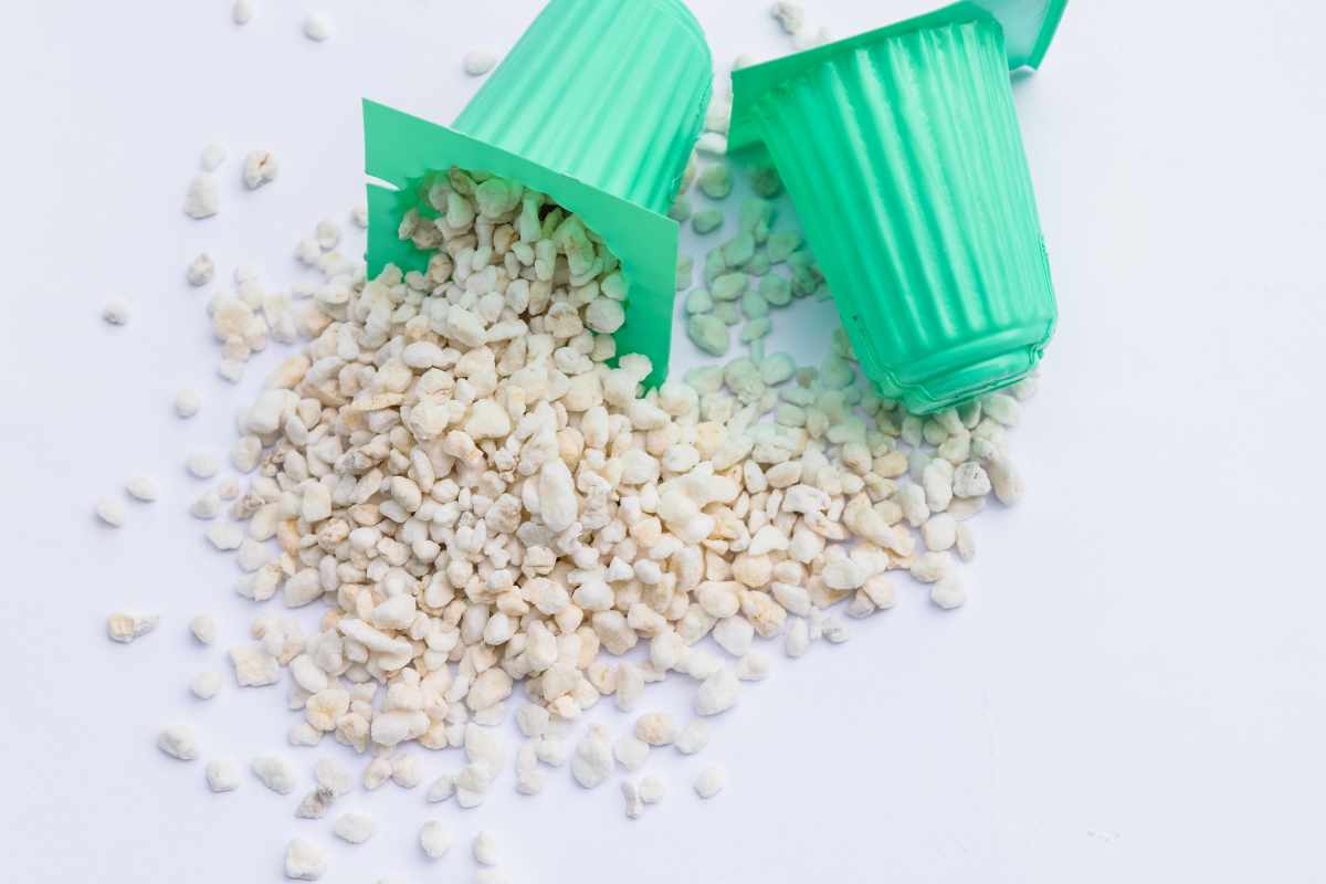 Essential Guide to Use Perlite in Your Plants Correctly